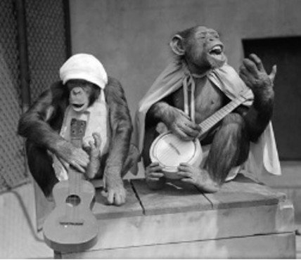 monkey musicians - Dave Ruch